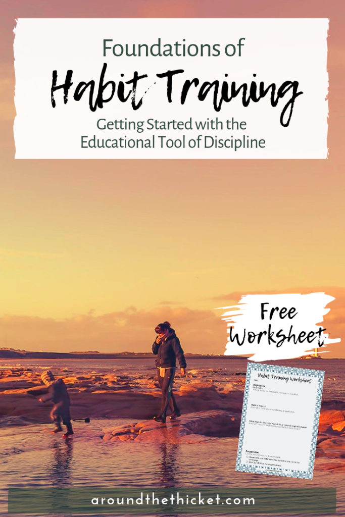 Foundations of Habit Training: Getting Started with the Educational ...